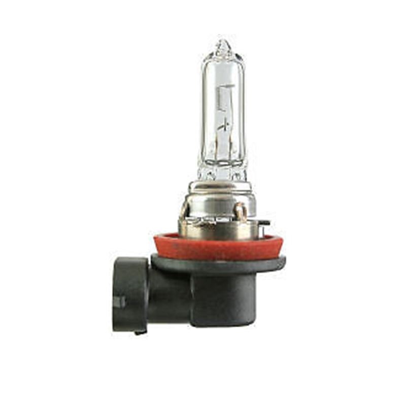 H9 Halogen Light Bulb In Holland, Michigan – Major Brands Oil